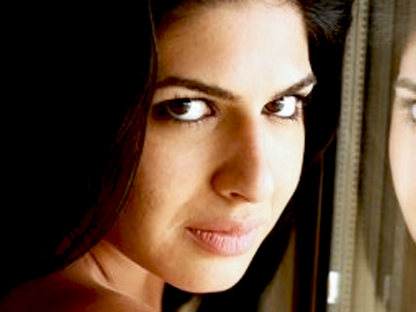 Shaana Diya, Filmography, Movies, Shaana Diya News, Videos, Songs ...