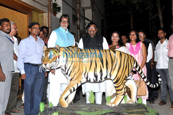 Amitabh Bachchan announced as the brand ambassador of ‘Save The Tiger ...