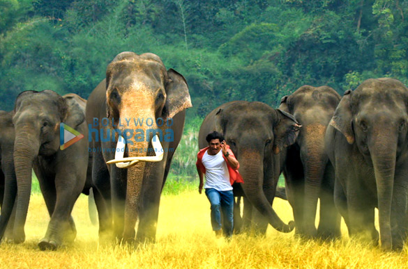 Junglee Movie Stills - Bollywood Hungama