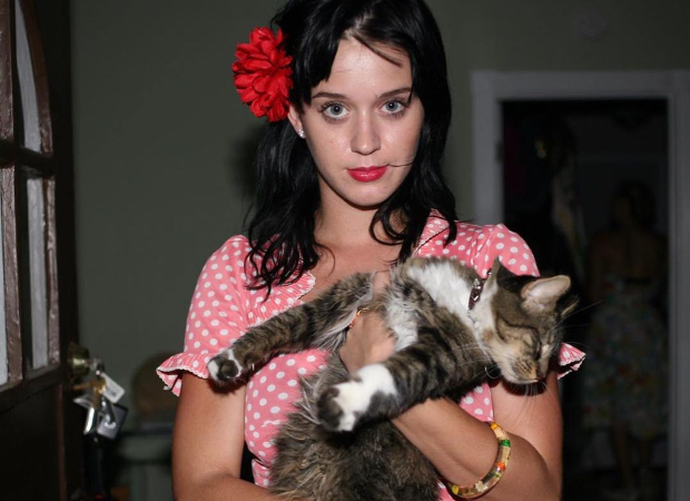 Katy Perry mourns the death of her beloved cat, Kitty Purry : Bollywood ...