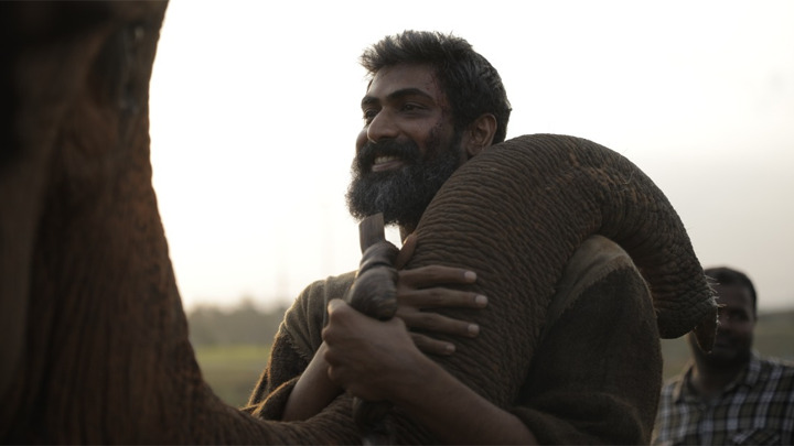 Haathi Mere Saathi Movie: Review | Release Date (2021) | Songs | Music ...