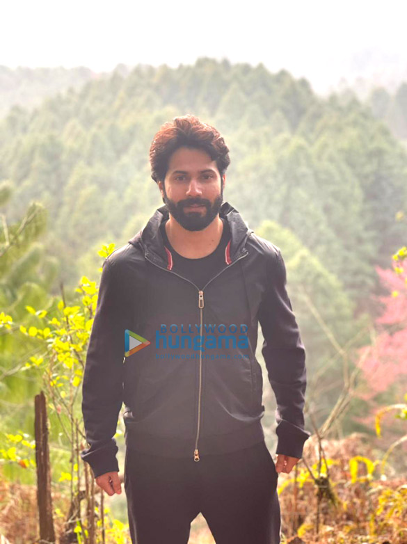 Bhediya Movie: Review | Release Date | Songs | Music | Images ...