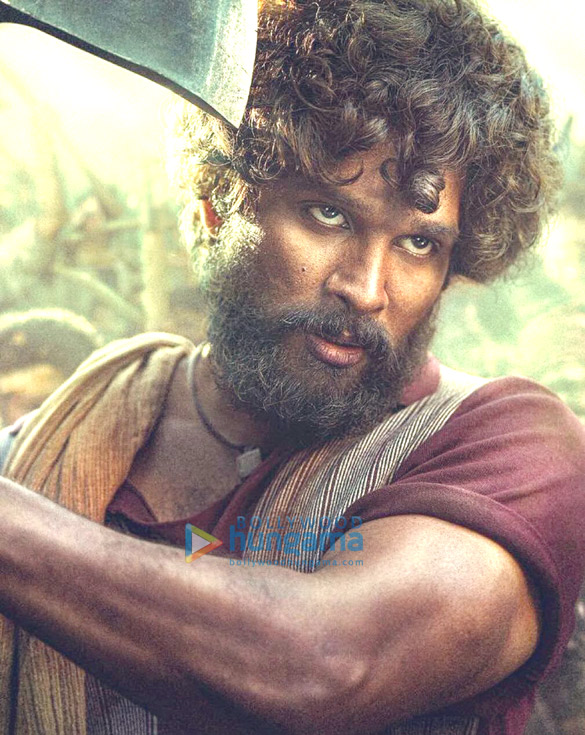 Pushpa Movie: Review | Release Date | Songs | Music | Images | Official ...